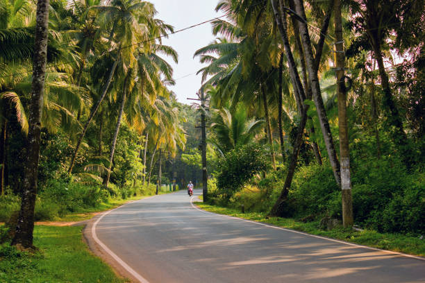 Goa Road Trip Itinerary: 5 Scenic Routes You Must Drive on Your Next ...